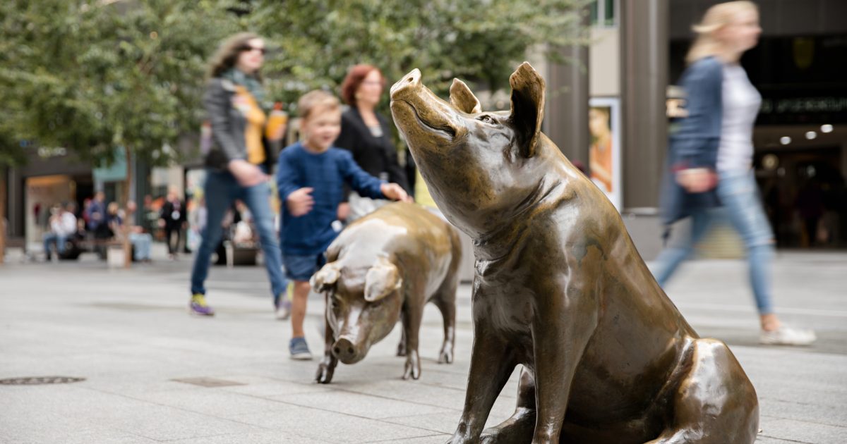 Rundle Mall • 'A Day Out' – The Rundle Mall Pigs