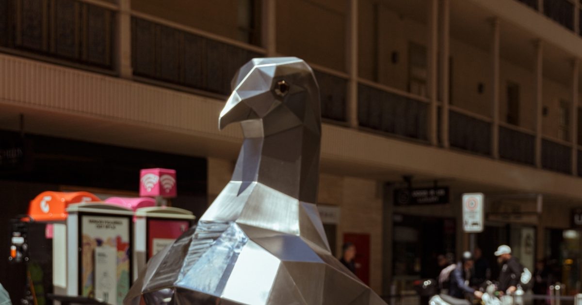 Pigeon has landed • Rundle Mall