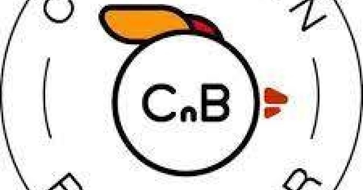 CnB Korean Chicken 'n Burger • Rundle Mall