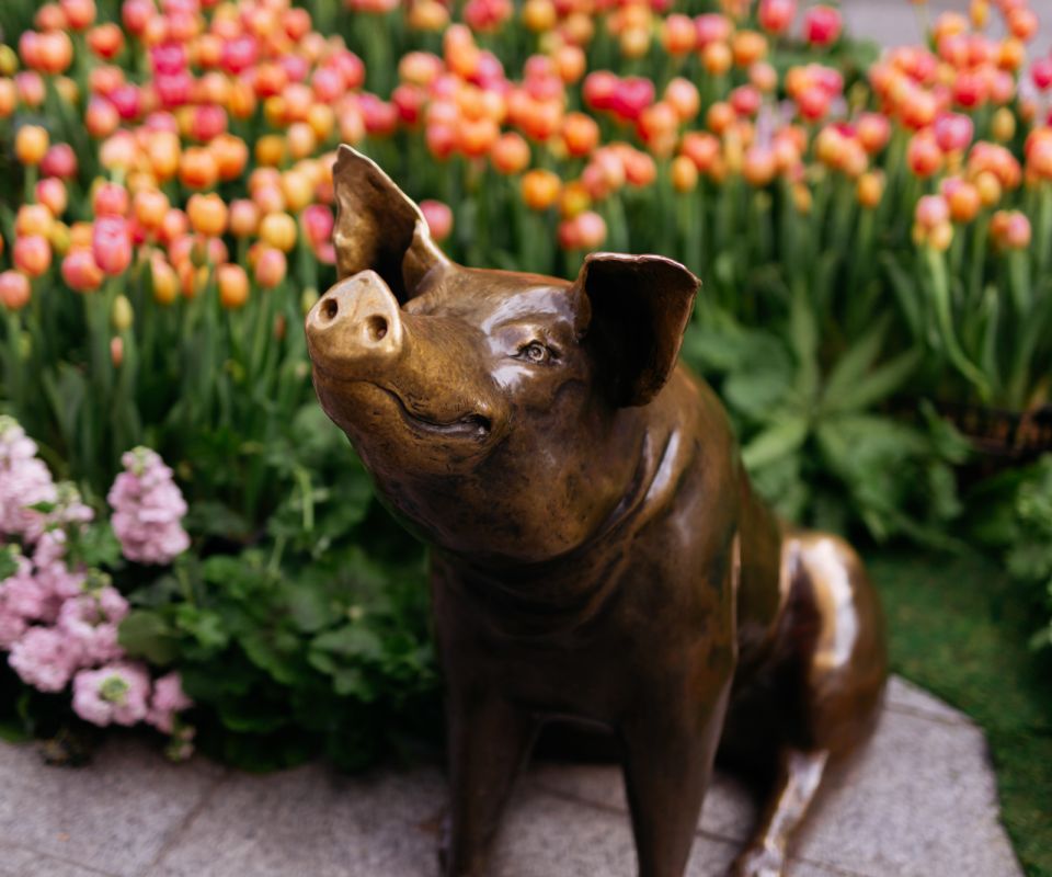 Rundle Mall • Adelaide's Premier Shopping, Dining & Entertainment Precinct