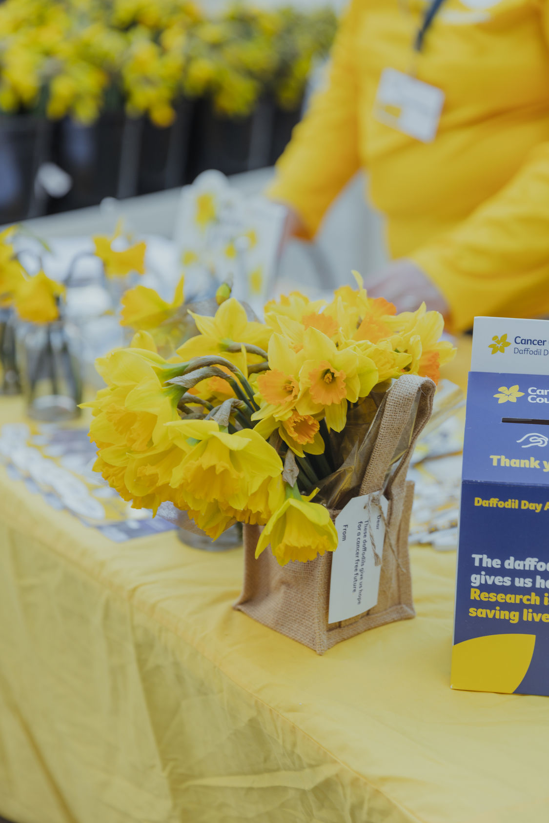 Cancer Council • Rundle Mall