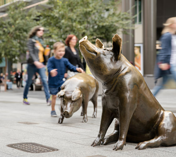 Rundle Mall • 'A Day Out' – The Rundle Mall Pigs